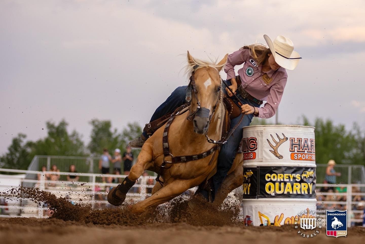 RF Performance Horses — Milestone Equine