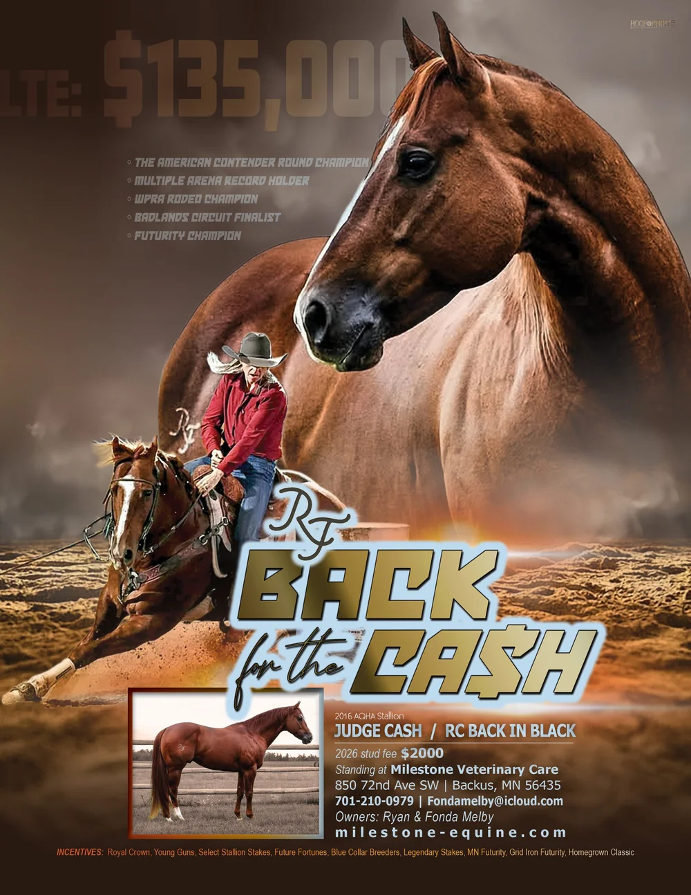 RF Back For The Cash — Milestone Equine