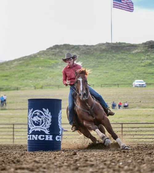 RF Performance Horses — Milestone Equine