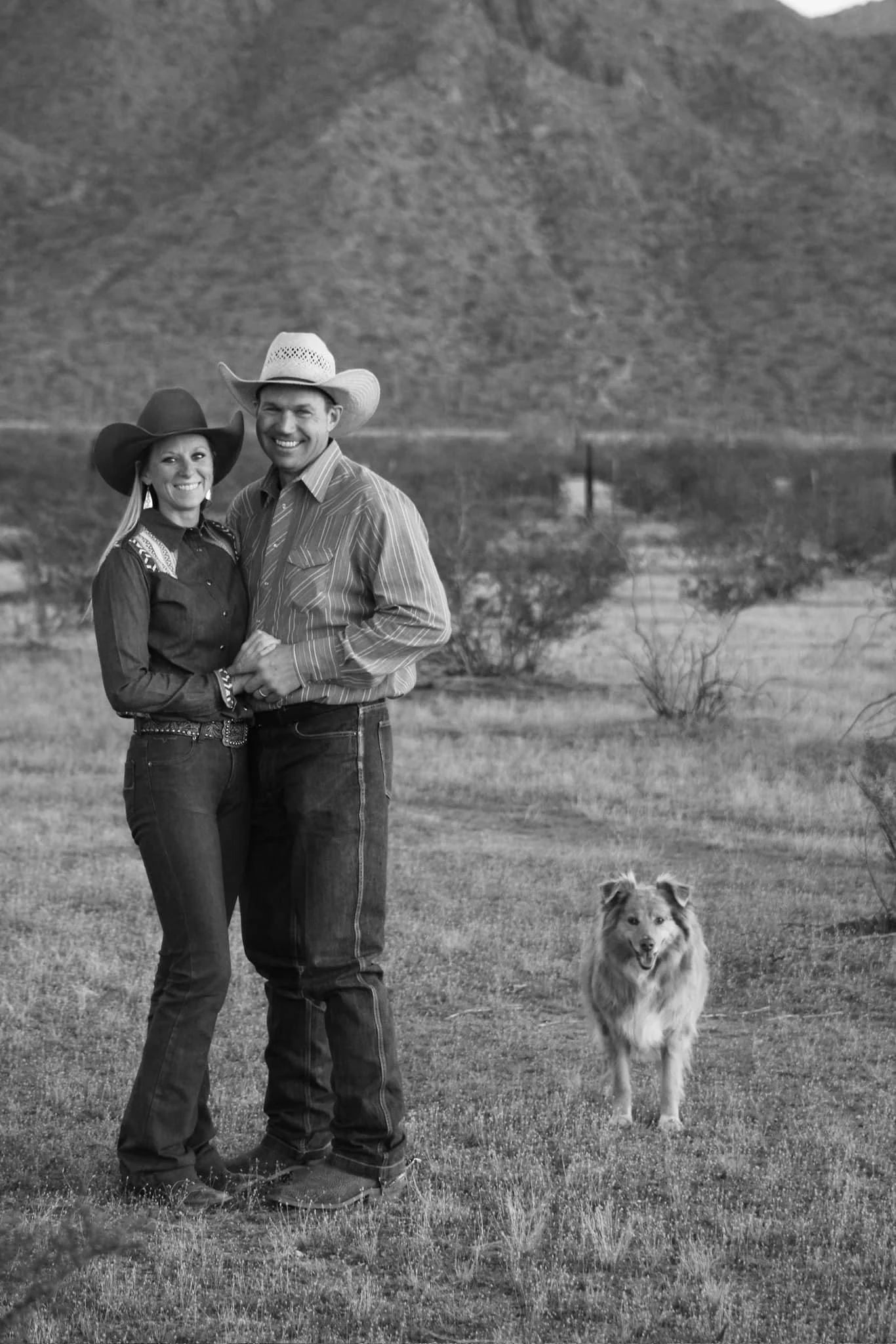 Milestone Veterinary Care — Milestone Equine