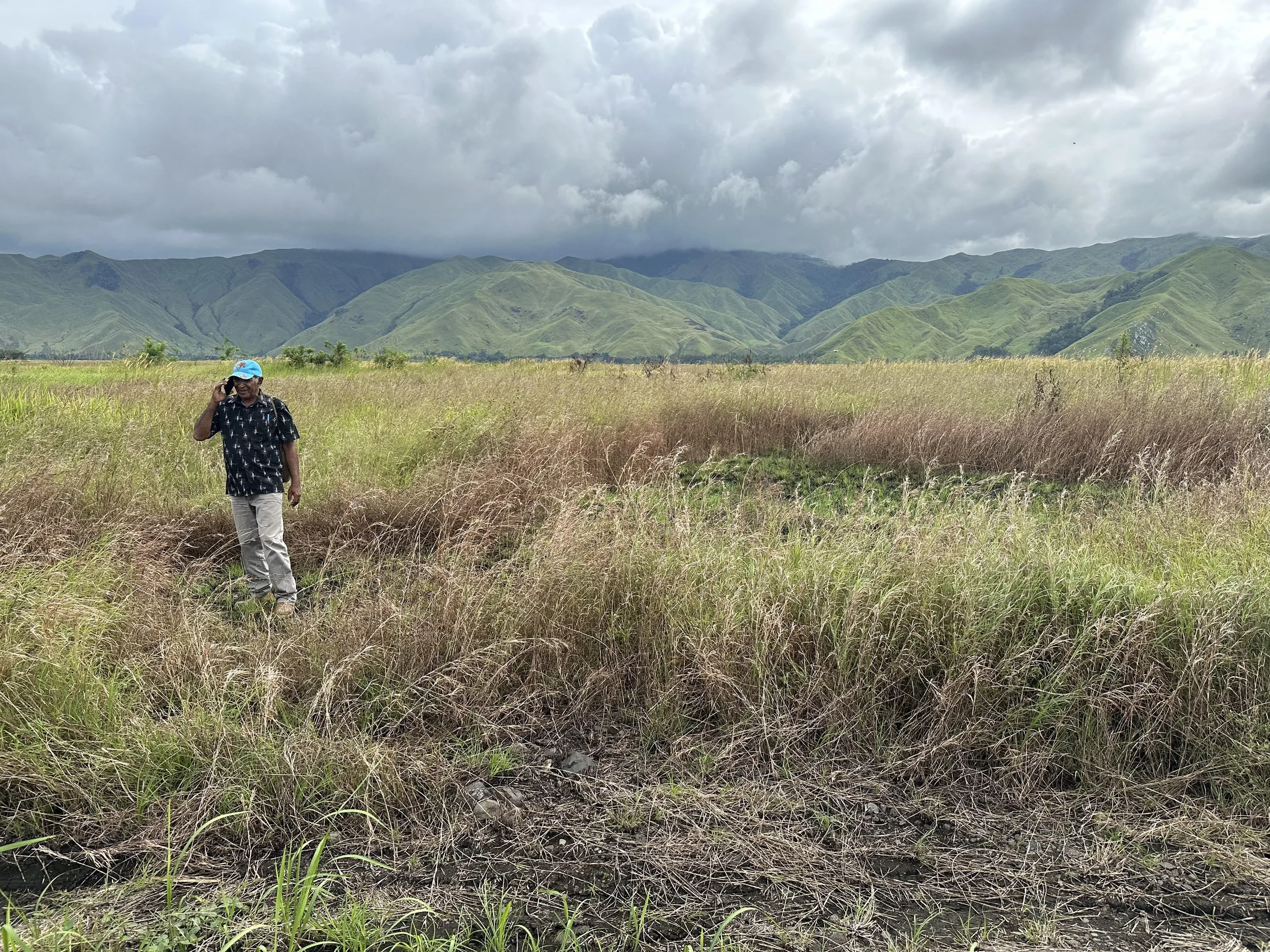 What We Do — MOROBE MARKHAM REFORESTATION PROJECT