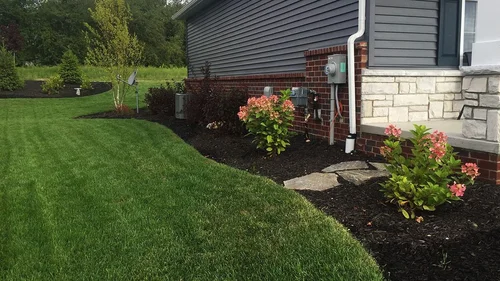 The Ins and Outs of the Fertilization Process in the Green Oak Township ...