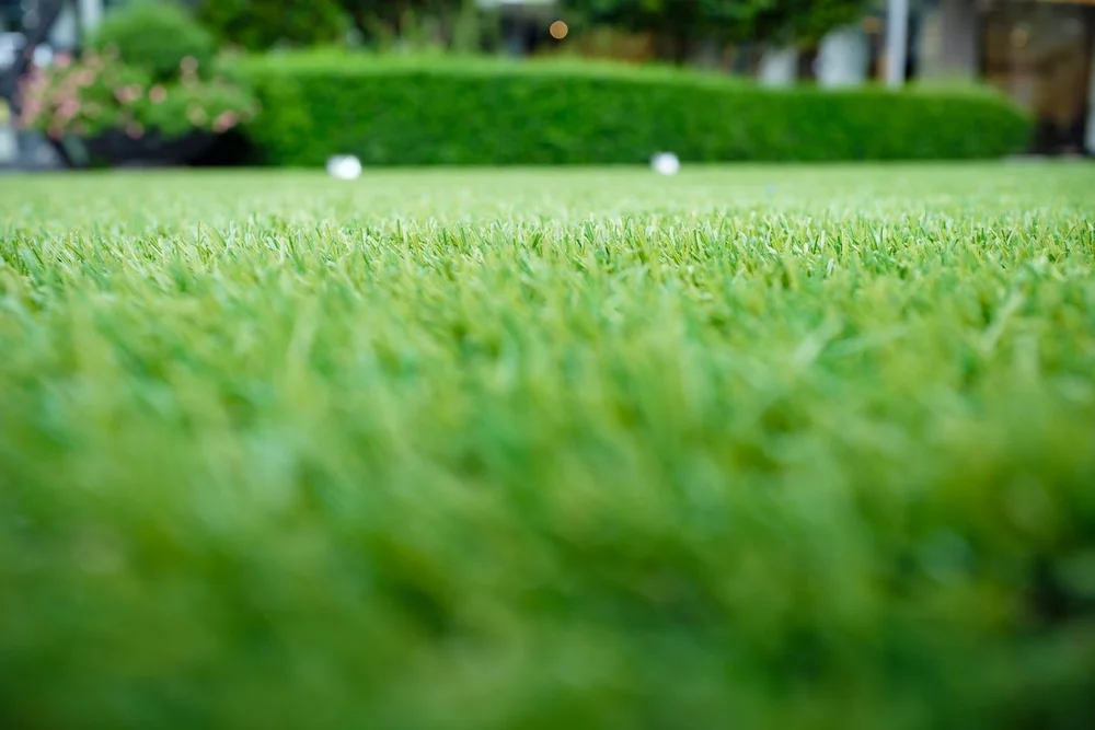 Commercial Sod Installation in Livonia, MI | Teddy's Lawn & Landscape