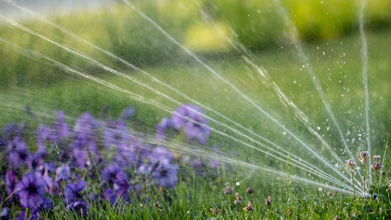 Irrigation System Maintenance in Livonia, MI | Teddy's Lawn & Landscape