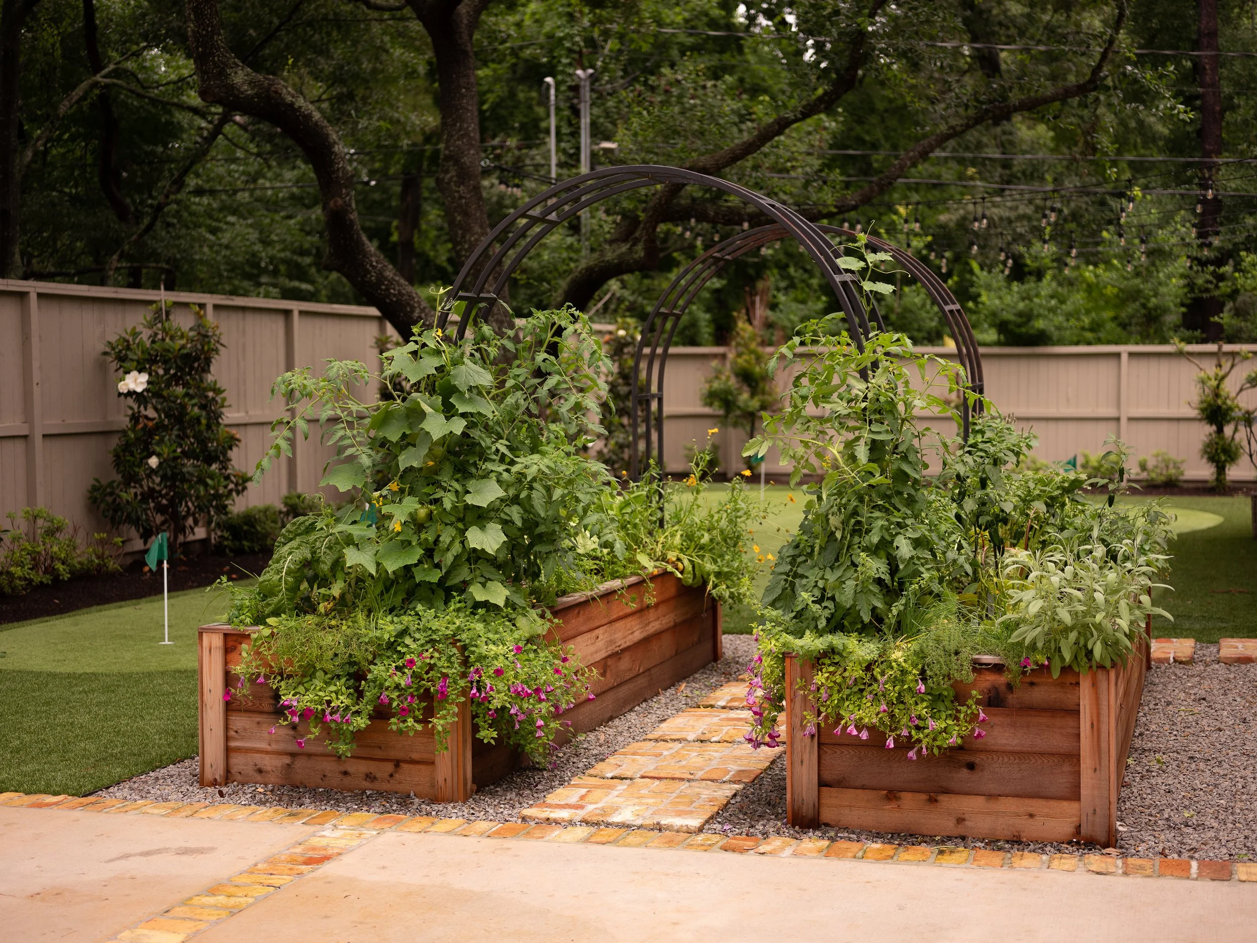 Rooted Fork