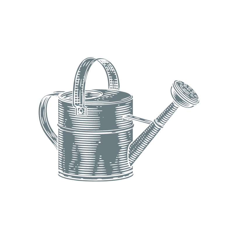 Services — Rooted Fork