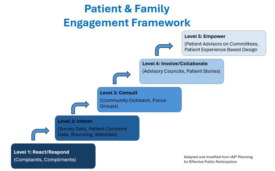 Patient Experience Strategy — LONDON HEALTH PARTNERS