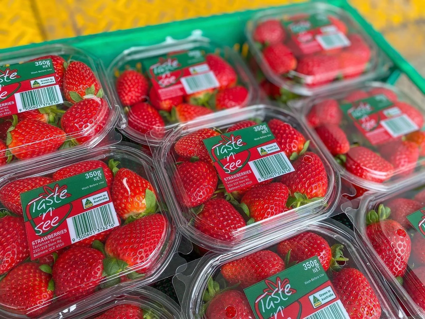 Our Berries — TasteNSee