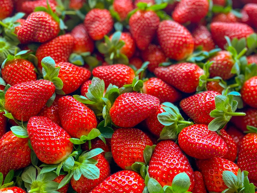 Our Berries — TasteNSee
