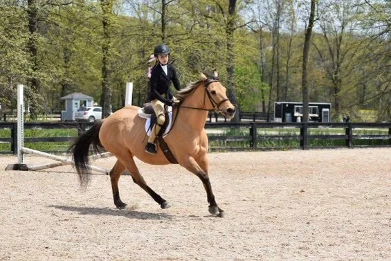 Bath Equestrian Center, LLC