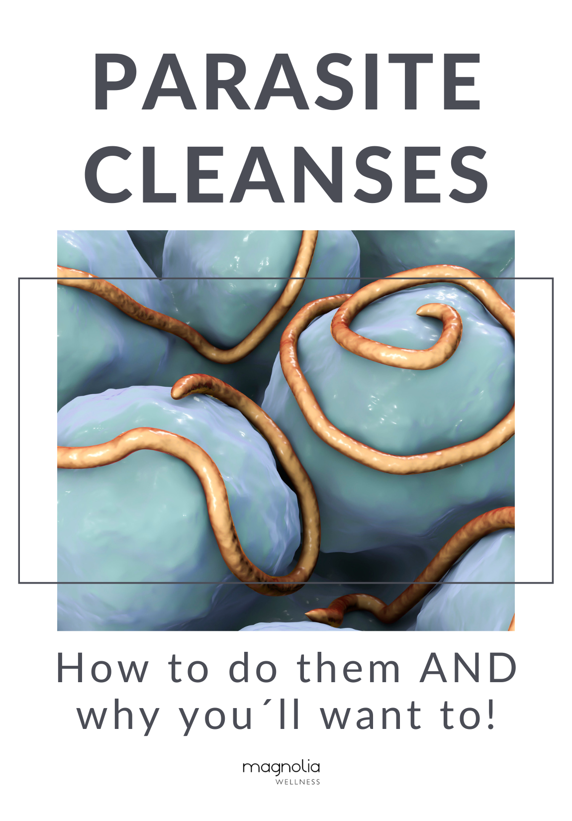 PARASITE CLEANSES: HOW TO DO THEM (AND WHY YOU’LL WANT TO) | Magnolia ...