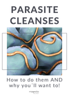 PARASITE CLEANSES: HOW TO DO THEM (AND WHY YOU’LL WANT TO) | Magnolia ...
