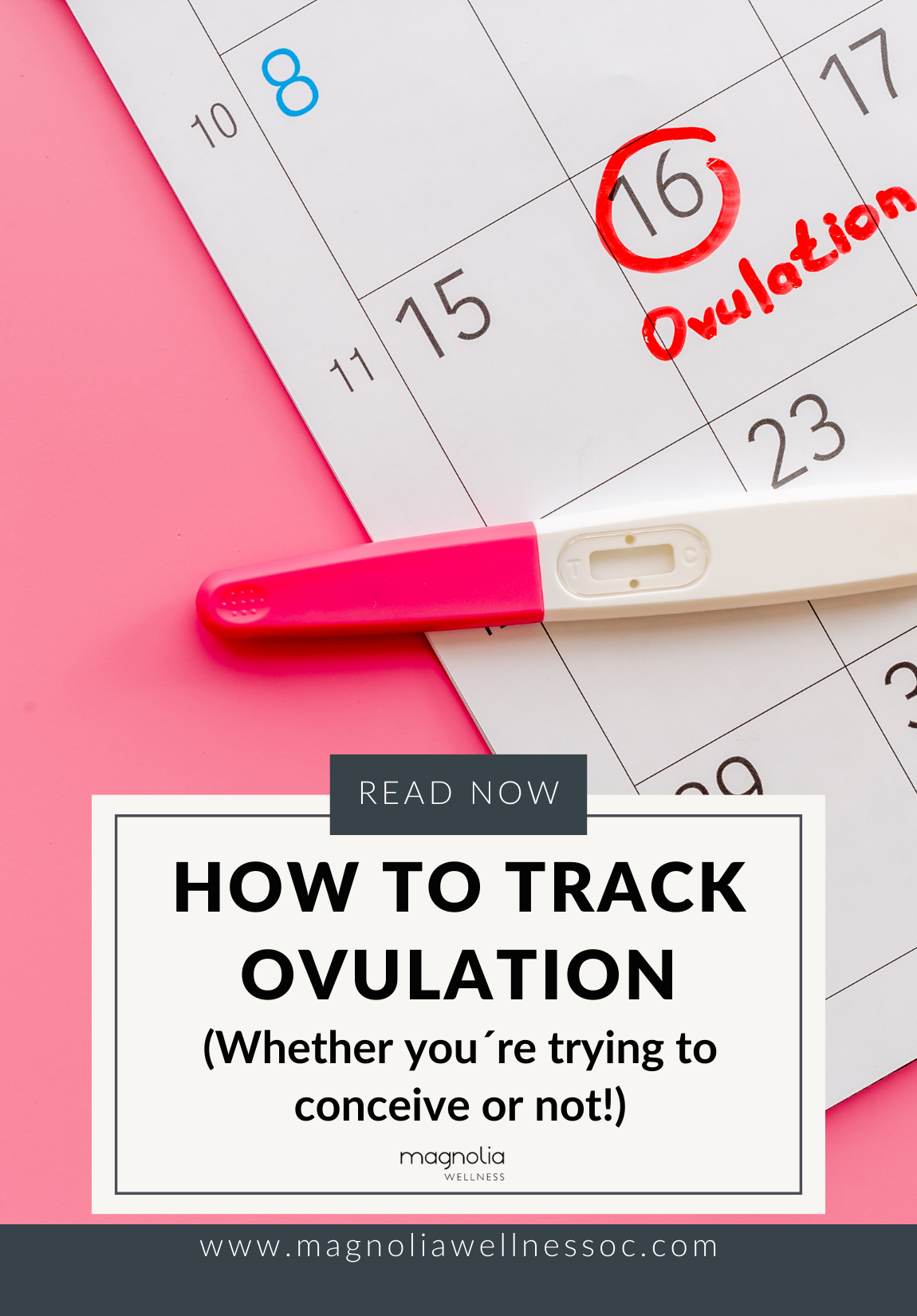 HOW TO TRACK OVULATION (WHETHER YOU’RE TRYING TO CONCEIVE OR NOT ...