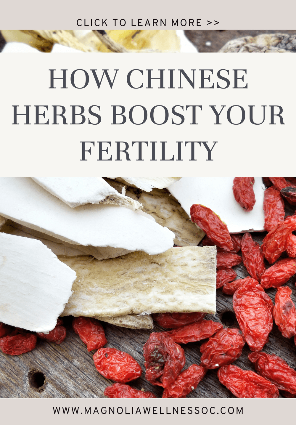 Herbs for Fertility: How to Use Chinese Herbs to Conceive | Magnolia ...