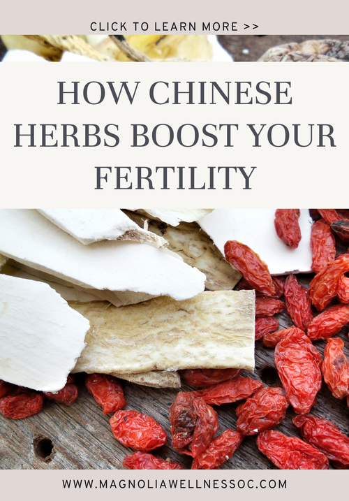 Herbs for Fertility: How to Use Chinese Herbs to Conceive | Magnolia ...