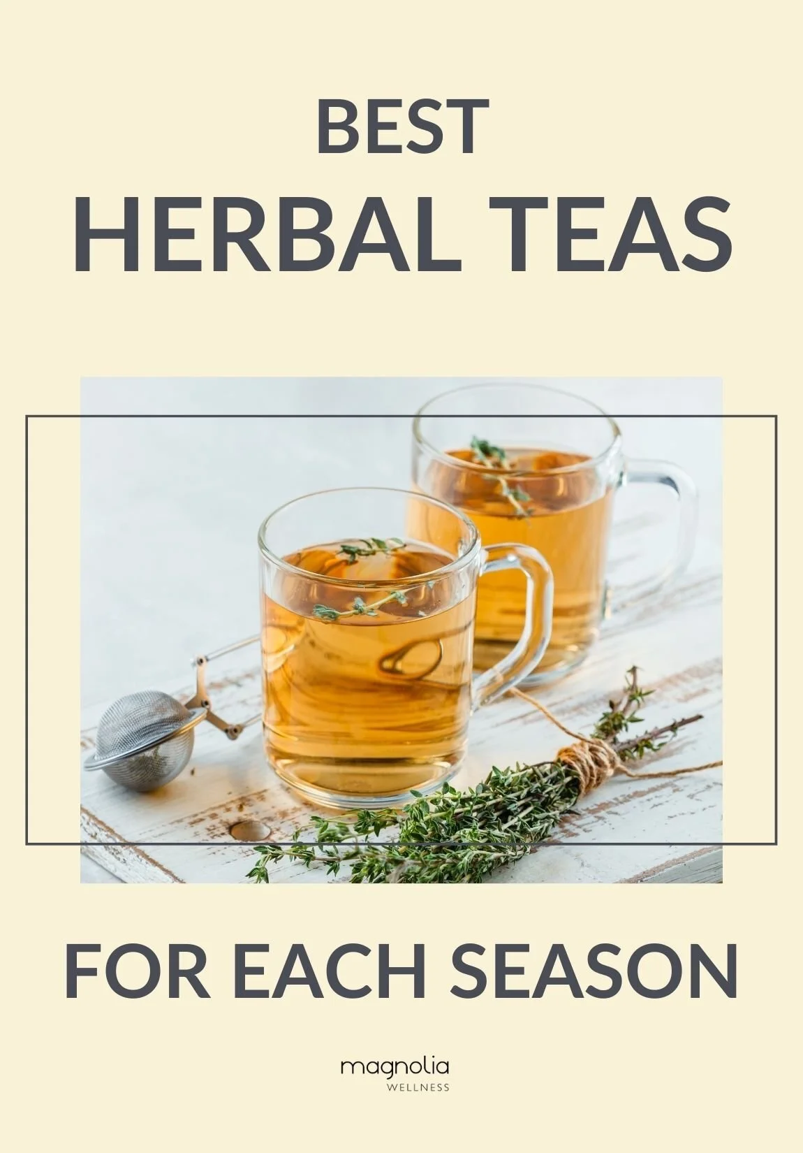The Best Herbal Teas for Each Season | Magnolia Wellness OC