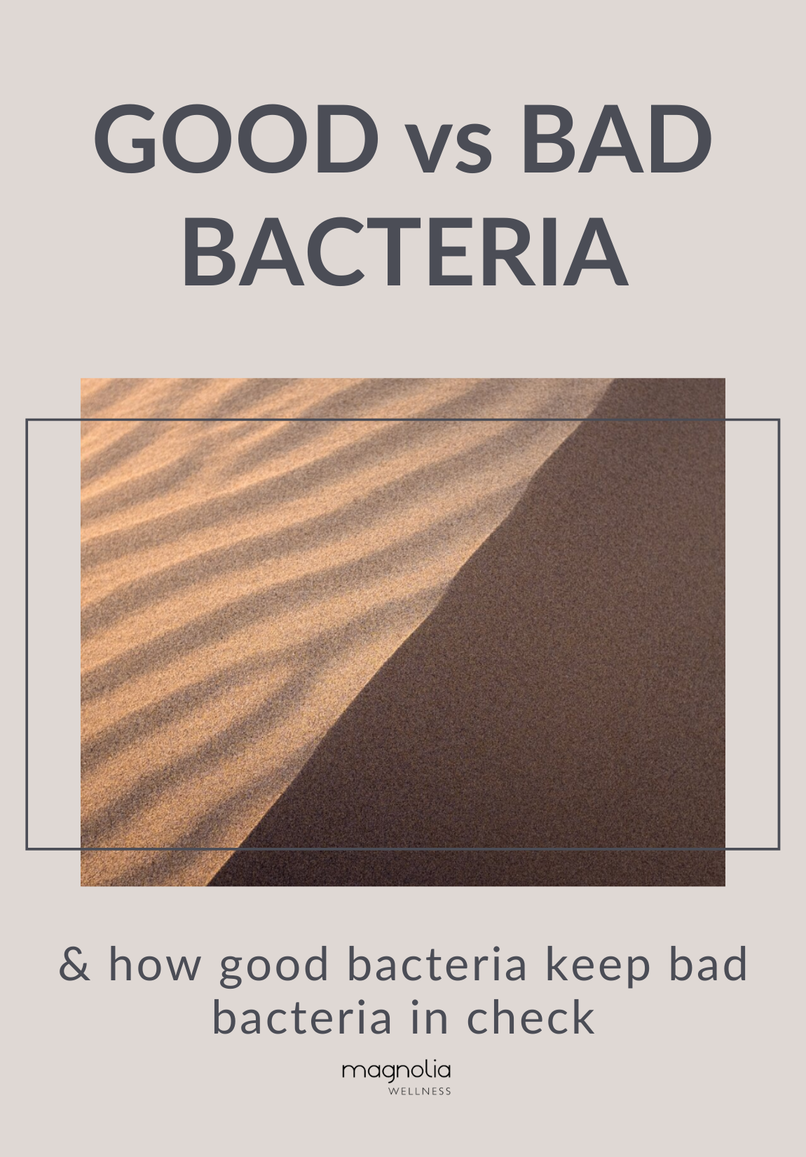 Checks and Balances: How Good Gut Bacterias Keep Bad Bacterias in Check ...