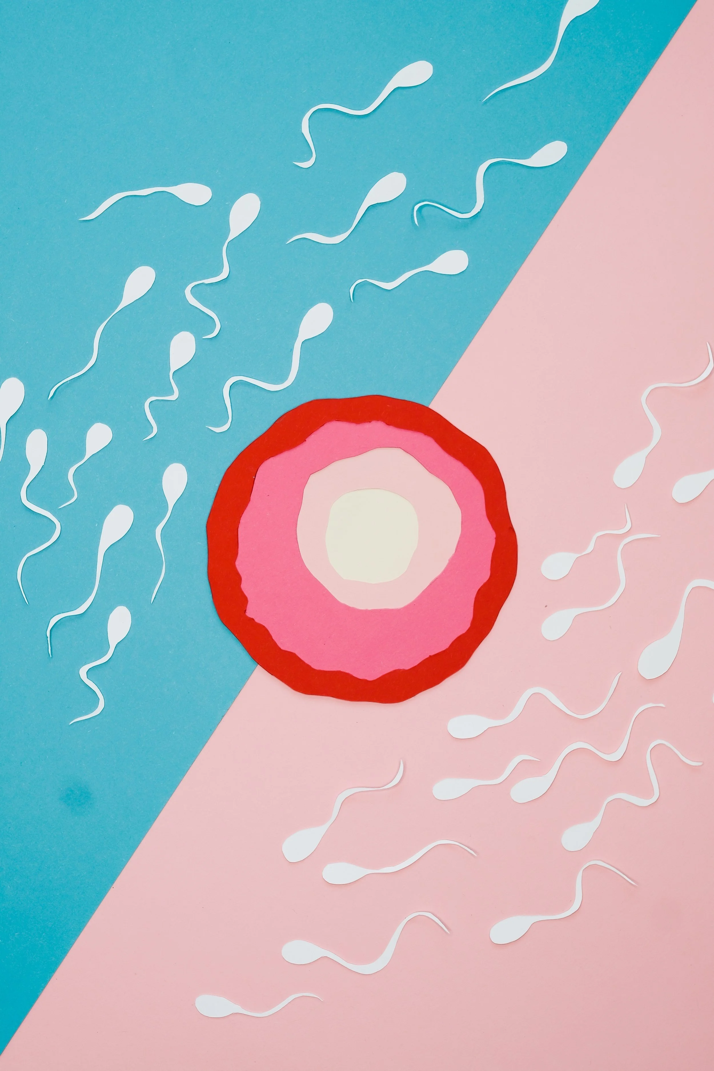 Decoding Infertility: What Every Woman Needs to Know Before Trying IVF ...