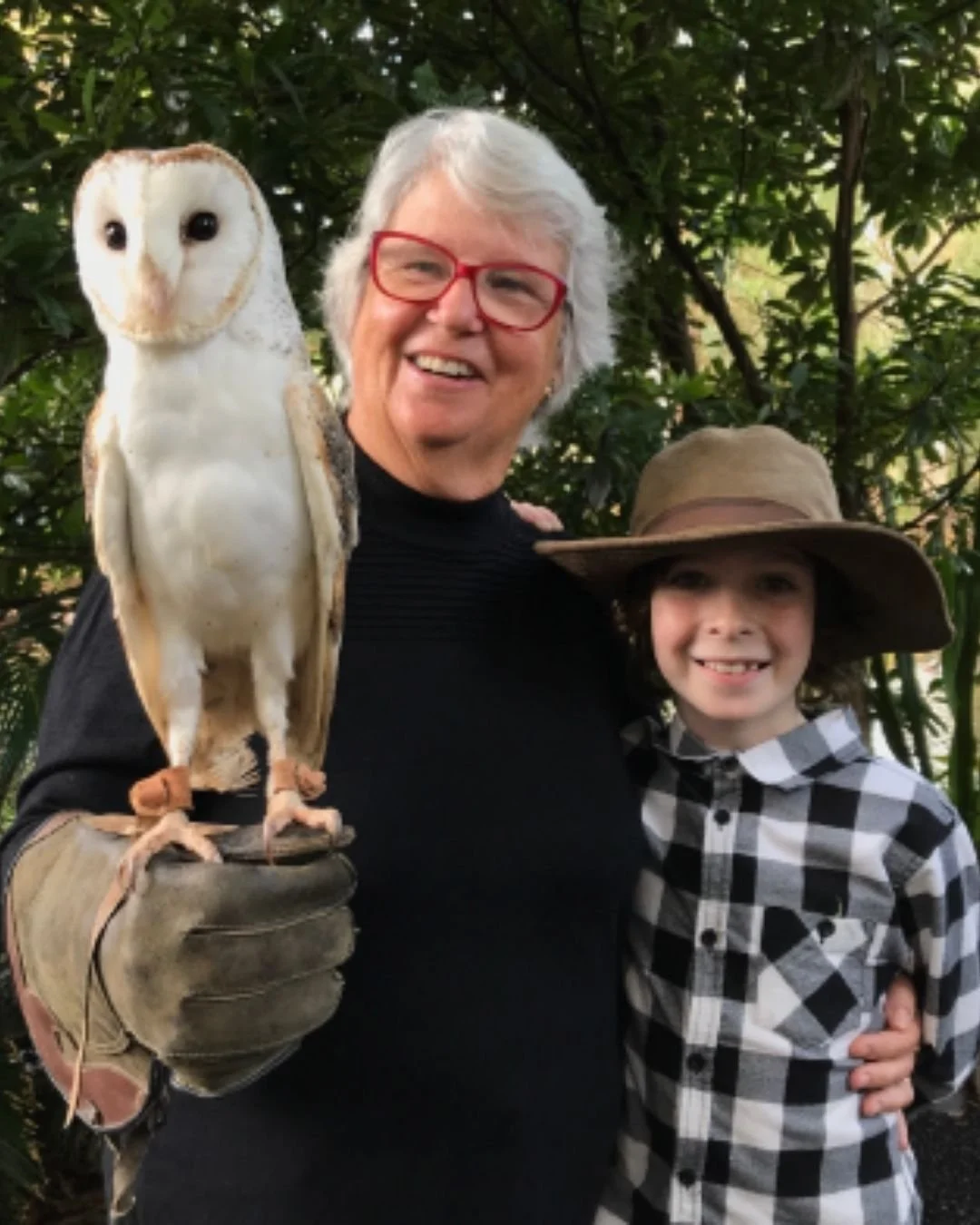Owl Experience — Byron Bay Wildlife Sanctuary
