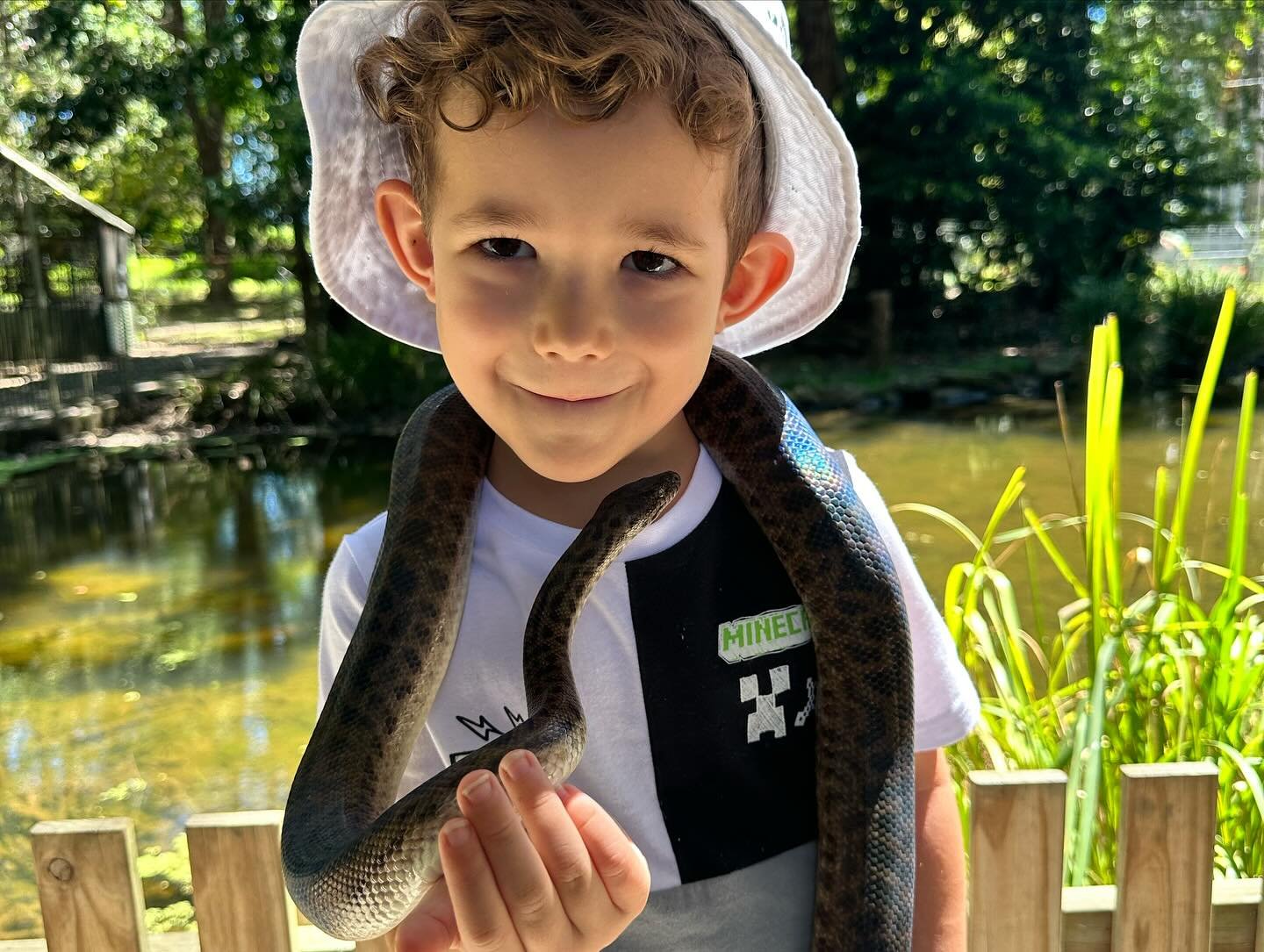 Reptile Experience — Byron Bay Wildlife Sanctuary