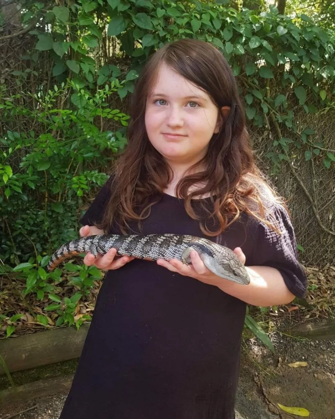 Reptile Experience — Byron Bay Wildlife Sanctuary