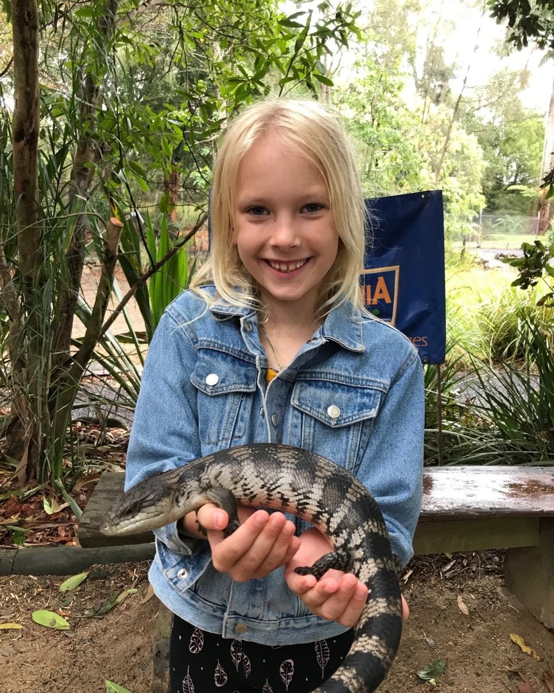 Reptile Experience — Byron Bay Wildlife Sanctuary
