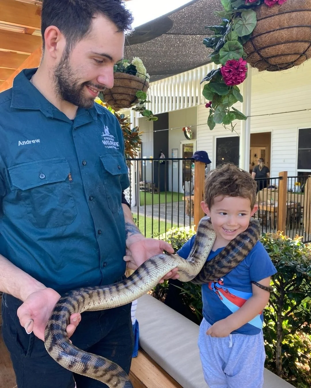 Reptile Experience — Byron Bay Wildlife Sanctuary