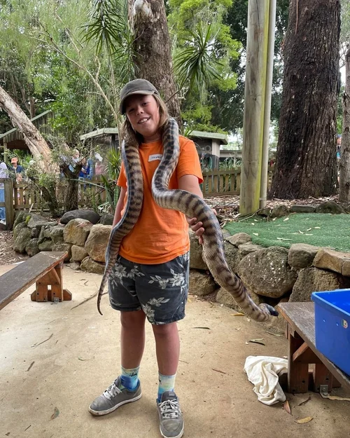 Reptile Experience — Byron Bay Wildlife Sanctuary