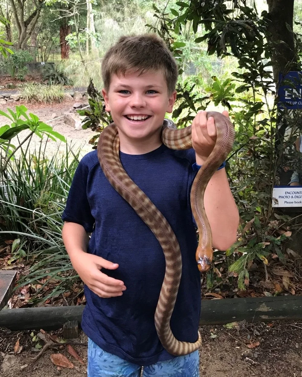 Reptile Experience — Byron Bay Wildlife Sanctuary