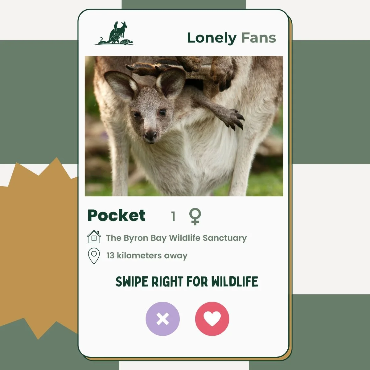 Store — Byron Bay Wildlife Sanctuary