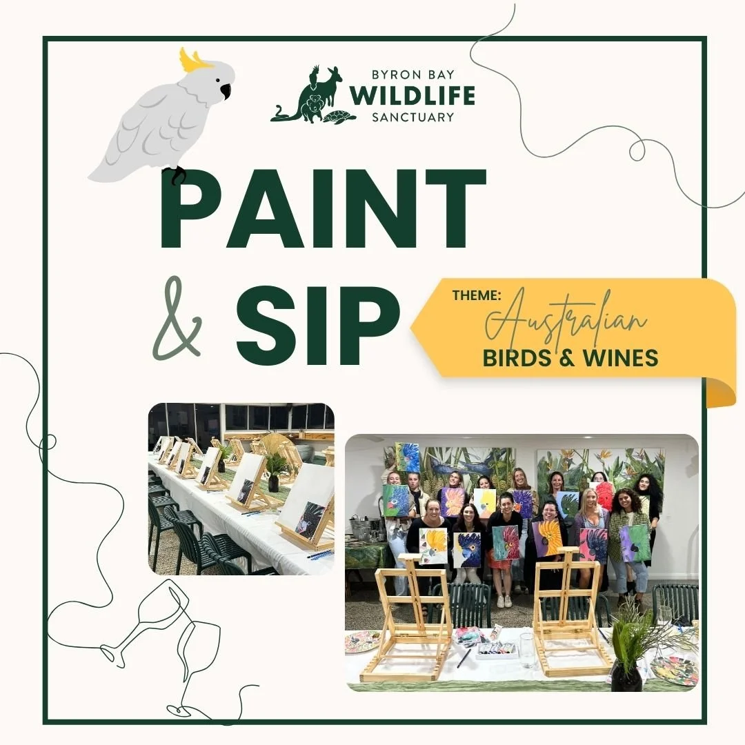 Paint and Sip — Byron Bay Wildlife Sanctuary
