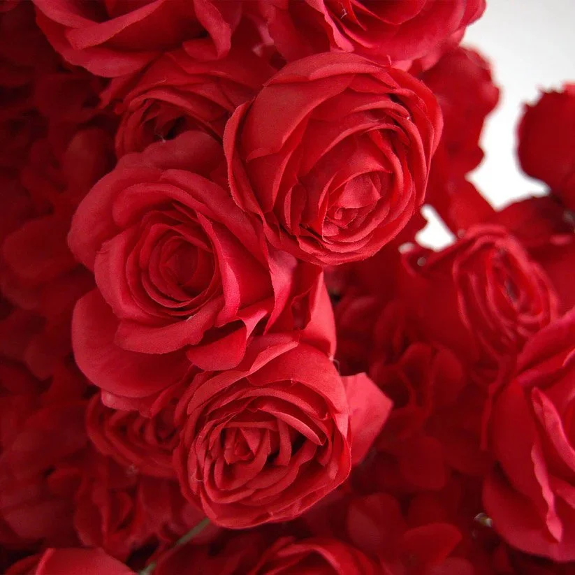 Wall Backdrop Rentals in Los Angeles & Orange County