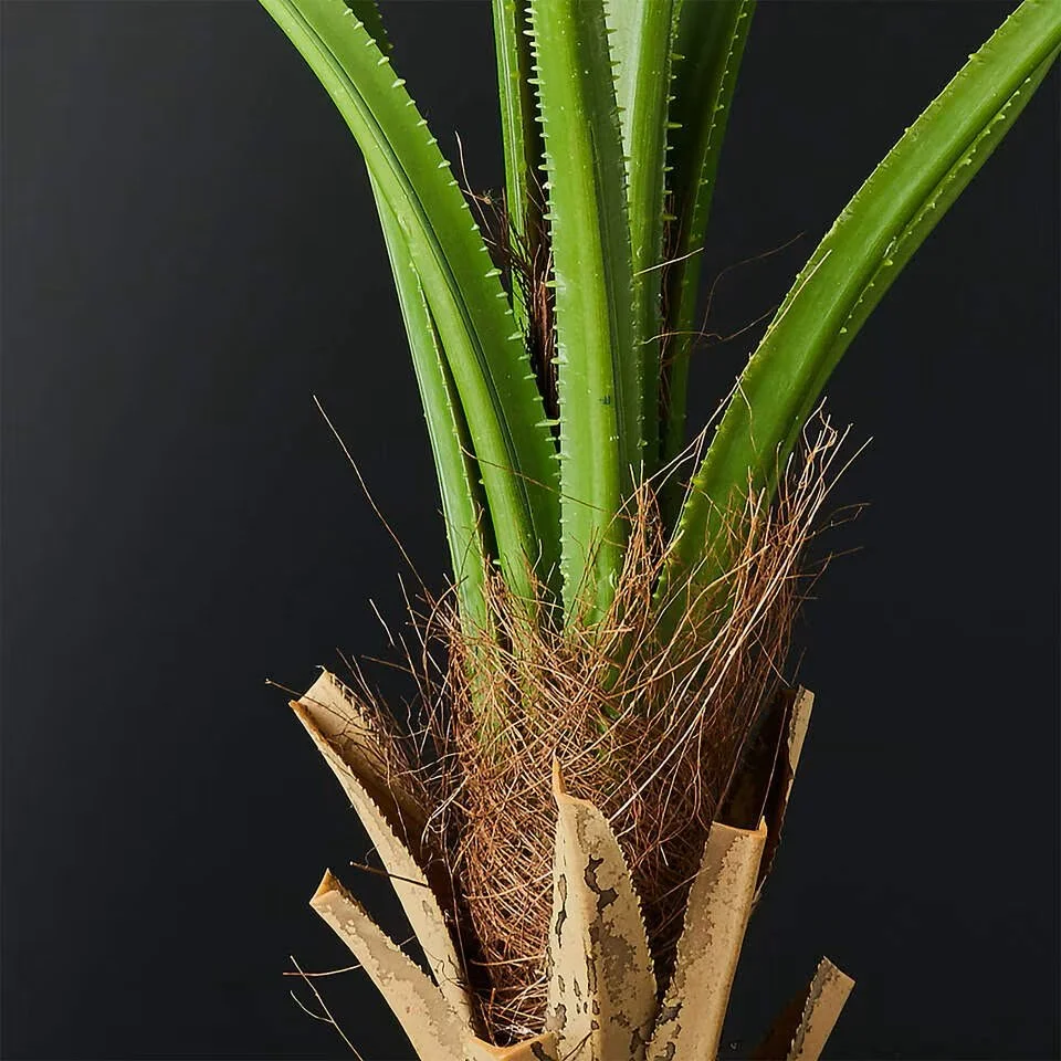 Artificial Spade Leaf Plant Rental for Weddings & Events in Los Angeles ...