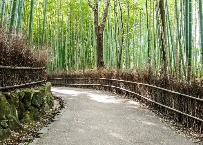20 Cool Places to Visit in Japan: Hidden and Famous Gems — Travelerko