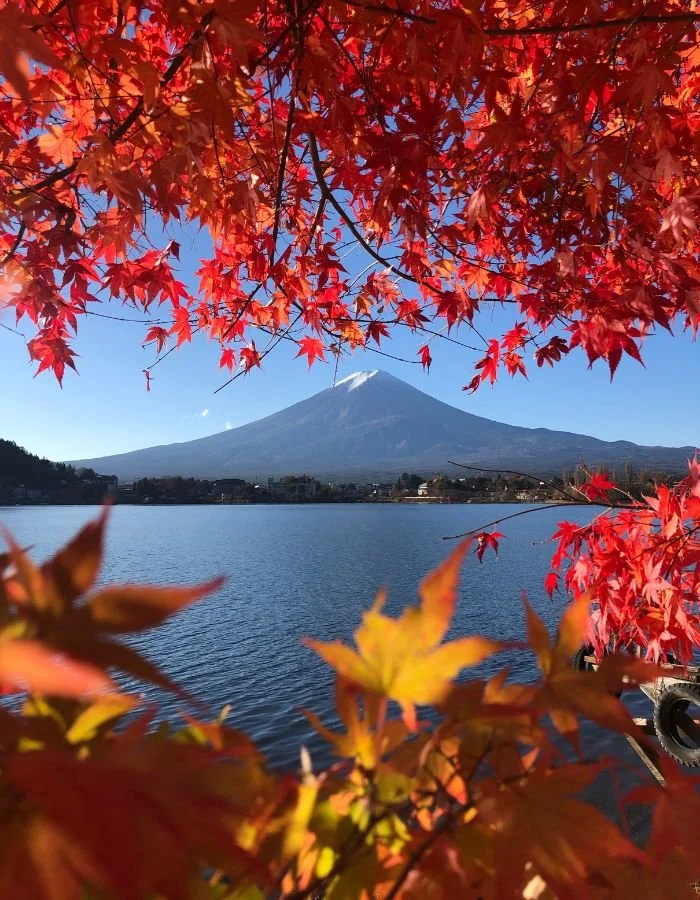 20 Cool Places to Visit in Japan: Hidden and Famous Gems — Travelerko