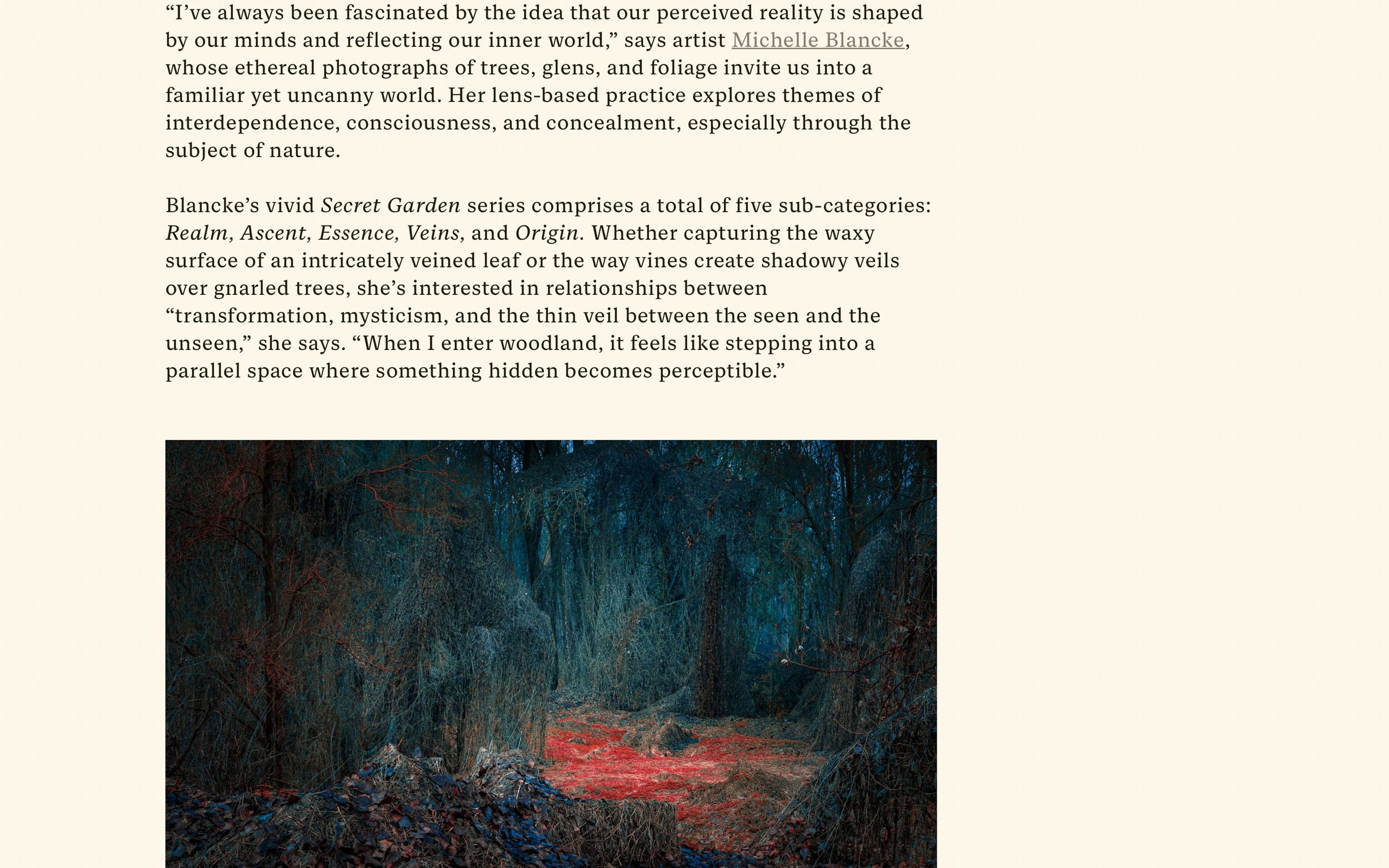 Colossal Feature — Michelle Blancke