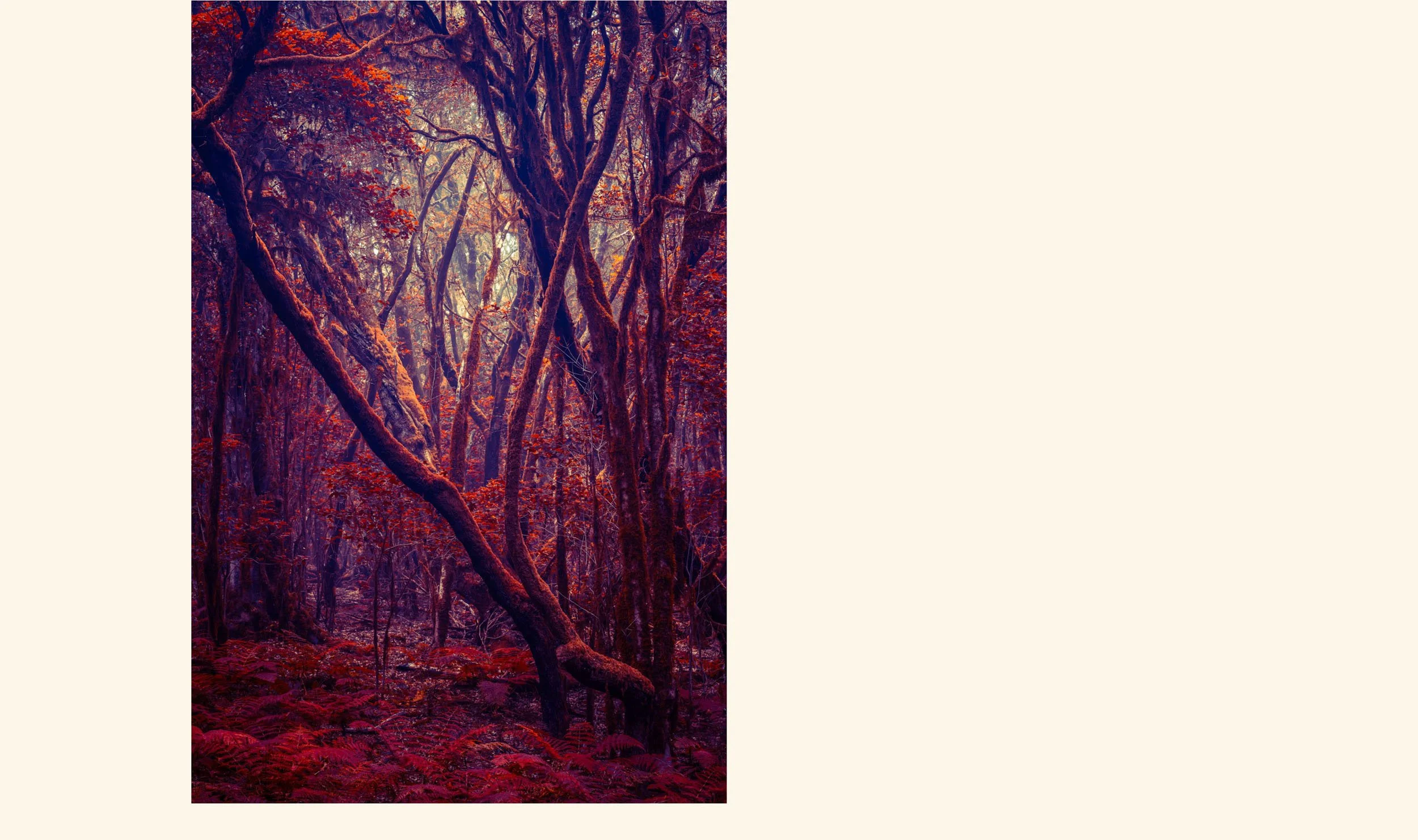 Colossal Feature — Michelle Blancke