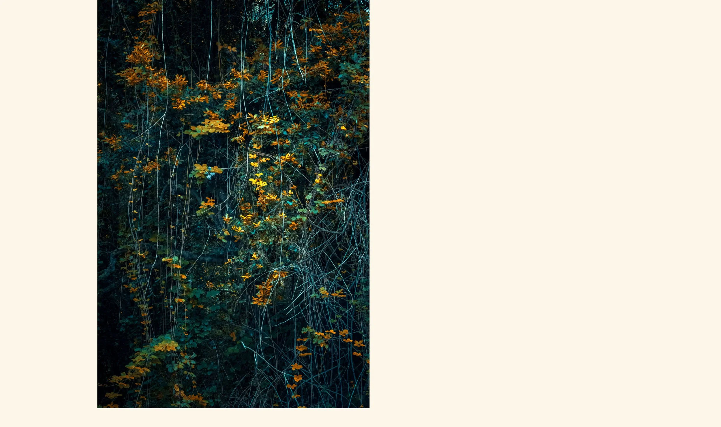 Colossal Feature — Michelle Blancke