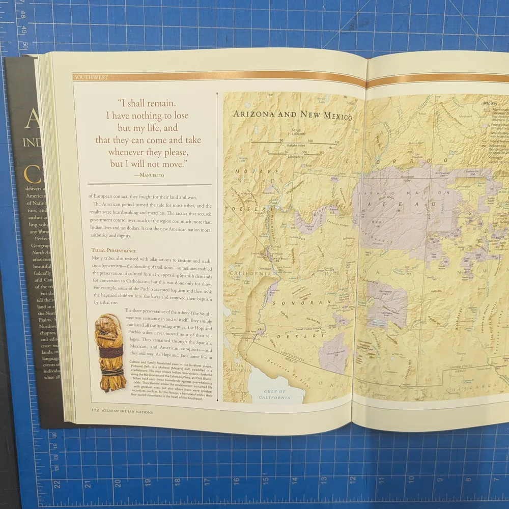 Turtle Island Decolonized — The Map Center
