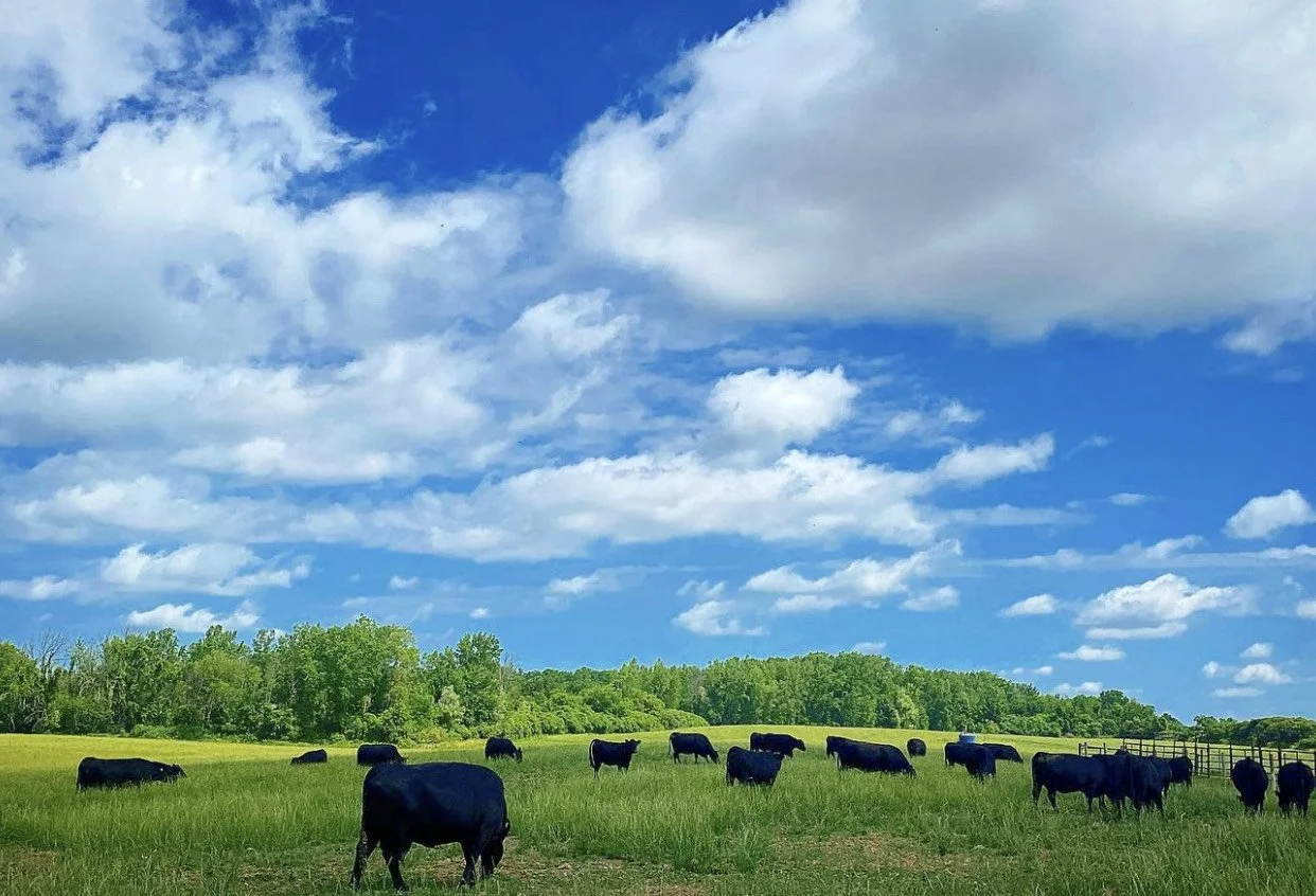 About | Linwood, NY — Waltons Way Angus Farm