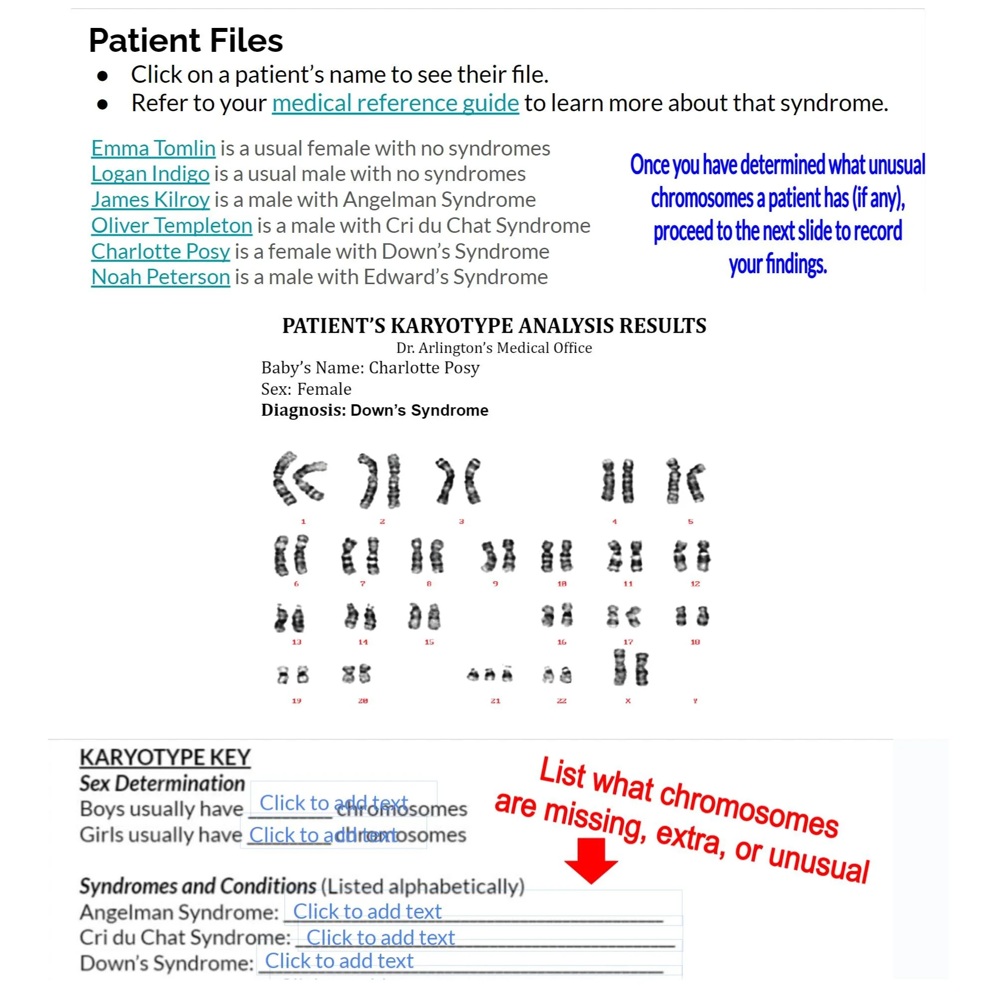 Reading Karyotypes: Understanding What Happens when Meiosis Occurs ...