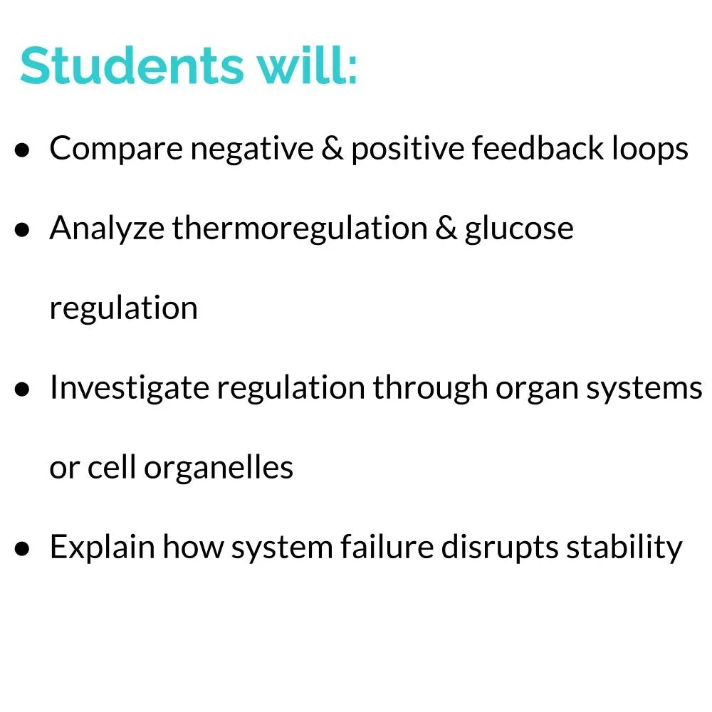 Homeostasis & Negative Feedback Loops | With Differentiated Case Study ...