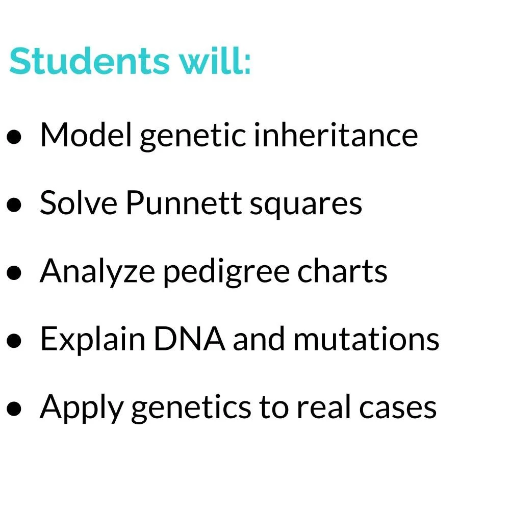 Genetics Unit Bundle | Punnett Squares, Pedigrees, DNA & Mutations ...