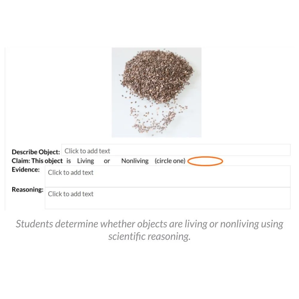 Living vs. Non-Living Inquiry Lab | What Makes Something Alive ...