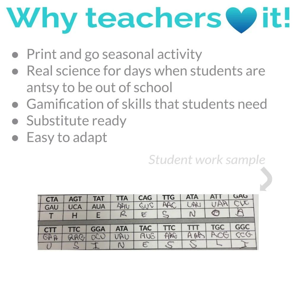 Winter Holiday Protein Synthesis Worksheet | Transcription ...