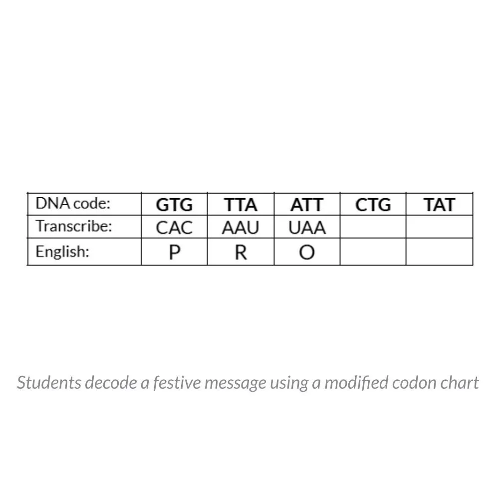 Halloween Protein Synthesis Practice | Transcription & Translation ...