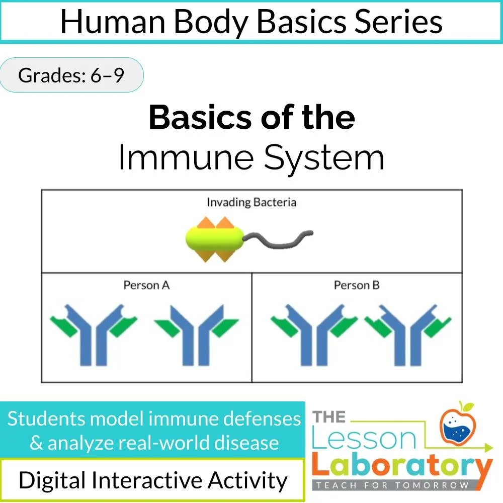 The Immune System: Barriers, Antibodies & Differentiated Media Analysis ...