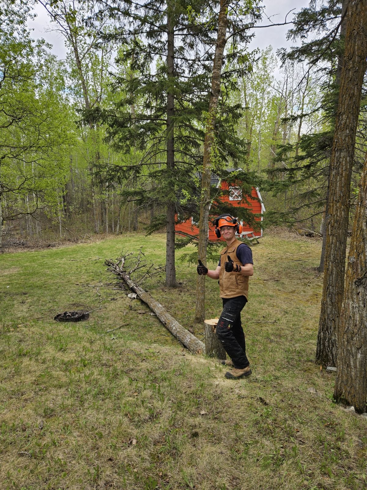 About | Enhance Your Landscape Today — Impact Arbor Services