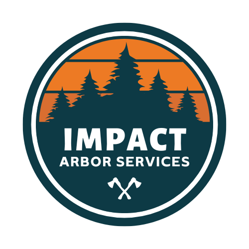 Impact Arbor Services | Enhance Your Trees Today — Call Now