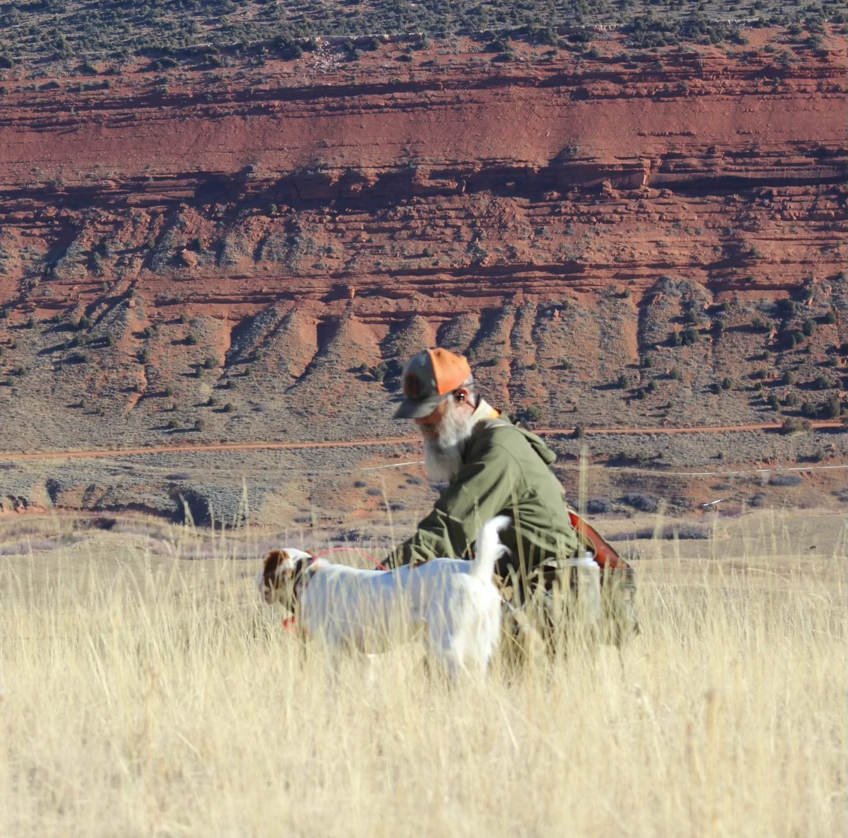 Guided Sage grouse chukar Hungarian hun Partridge hunting in Wyoming